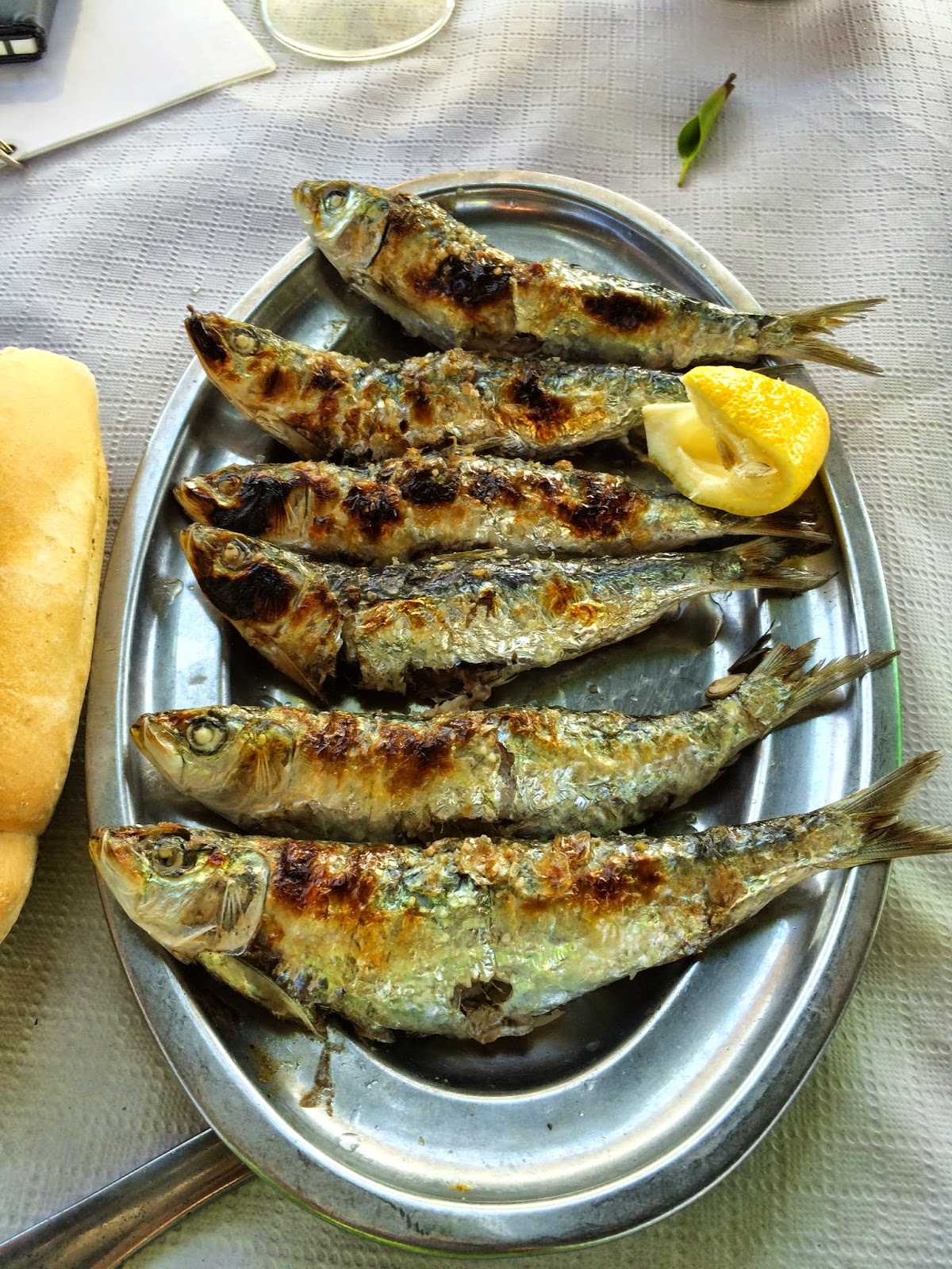 El blog de Ruteomañanero1976: Cicloturismo con alforjas por Marruecos